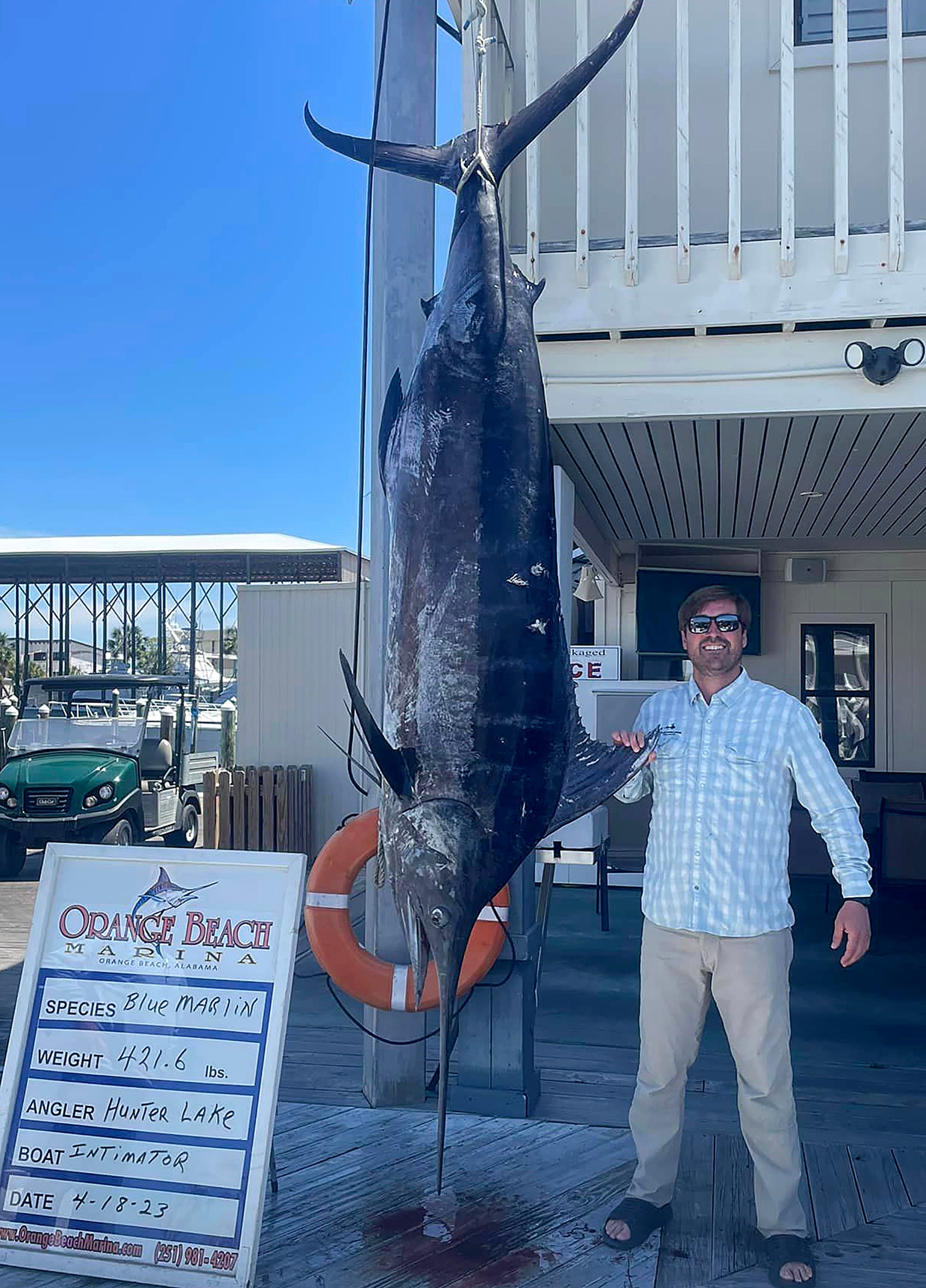 Orange Beach's Intimidator Lands Giant Bluefin Tuna | Outdoor Alabama